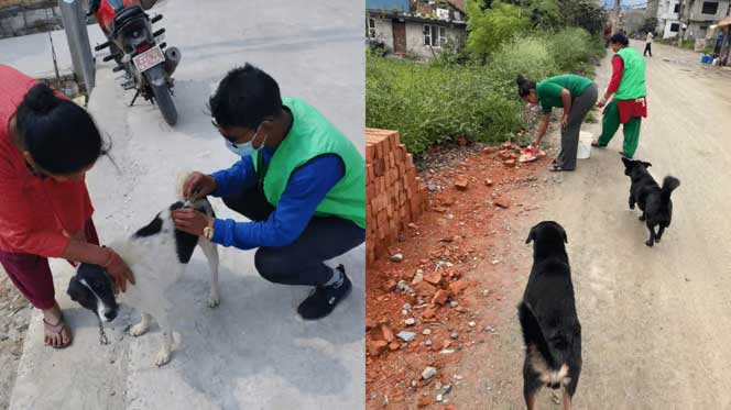 VOAN - Voice of Animal Nepal | Animal and Dog NGO